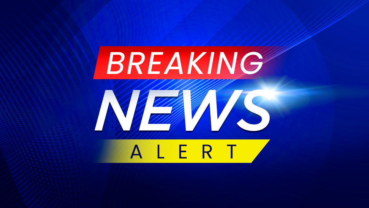 Long Beach, CA – 2 Hurt After Small Plane Crashes at Carson St Park