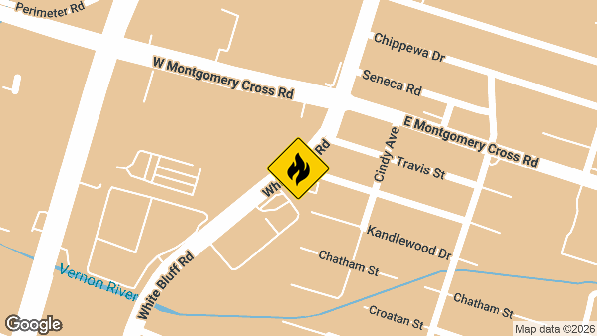 Man Dies in Early Morning House Fire on Wesley St in Savannah, GA ...